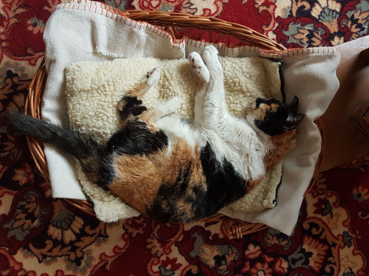 Datei:20170626161211.jpg – Keili-Online